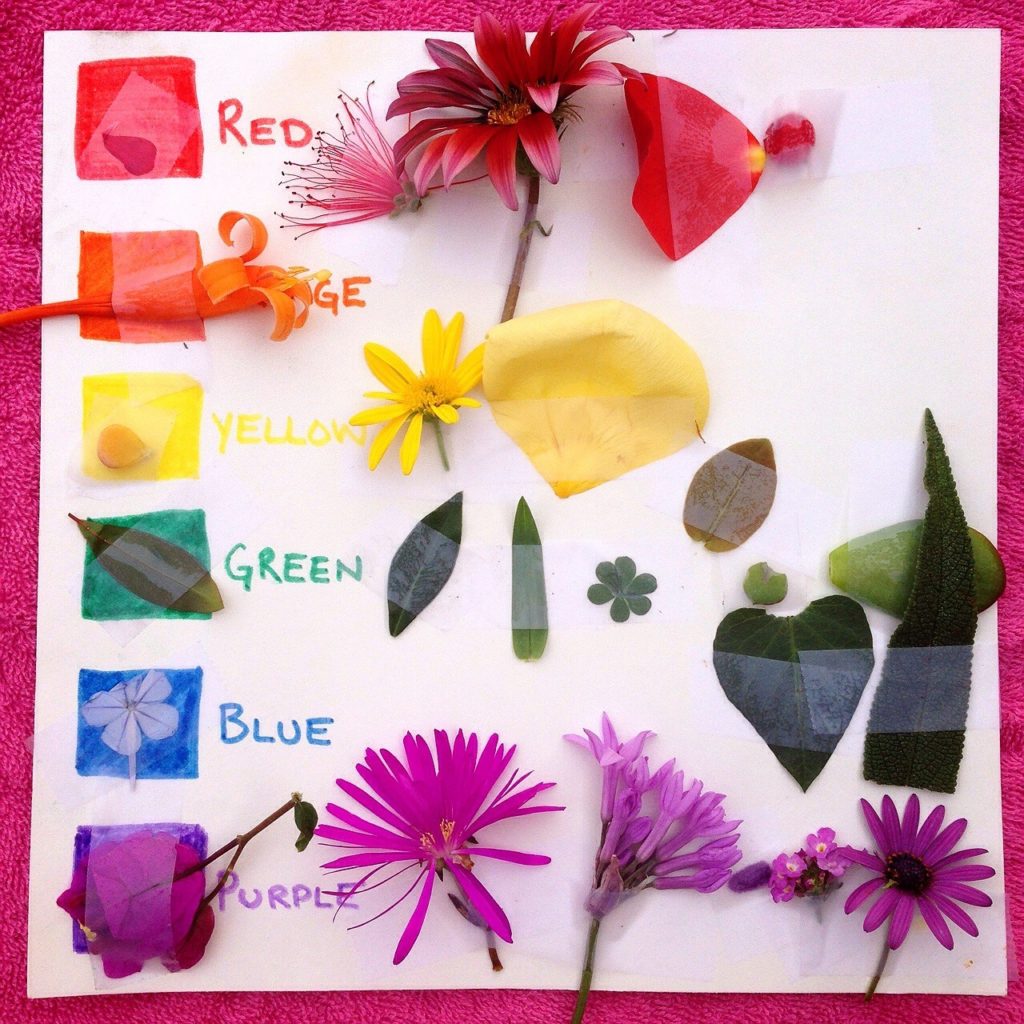 A Rainbow Walk - Creating Creatives